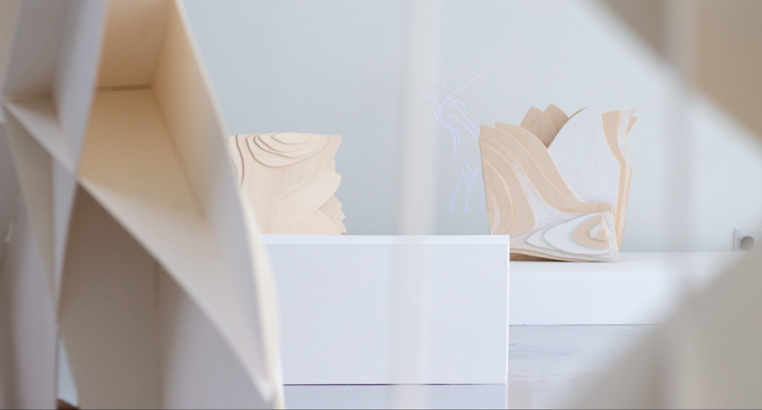 Sam Metz: Making Solid Unpredictable Bodies, Press Release - Welcome to ...