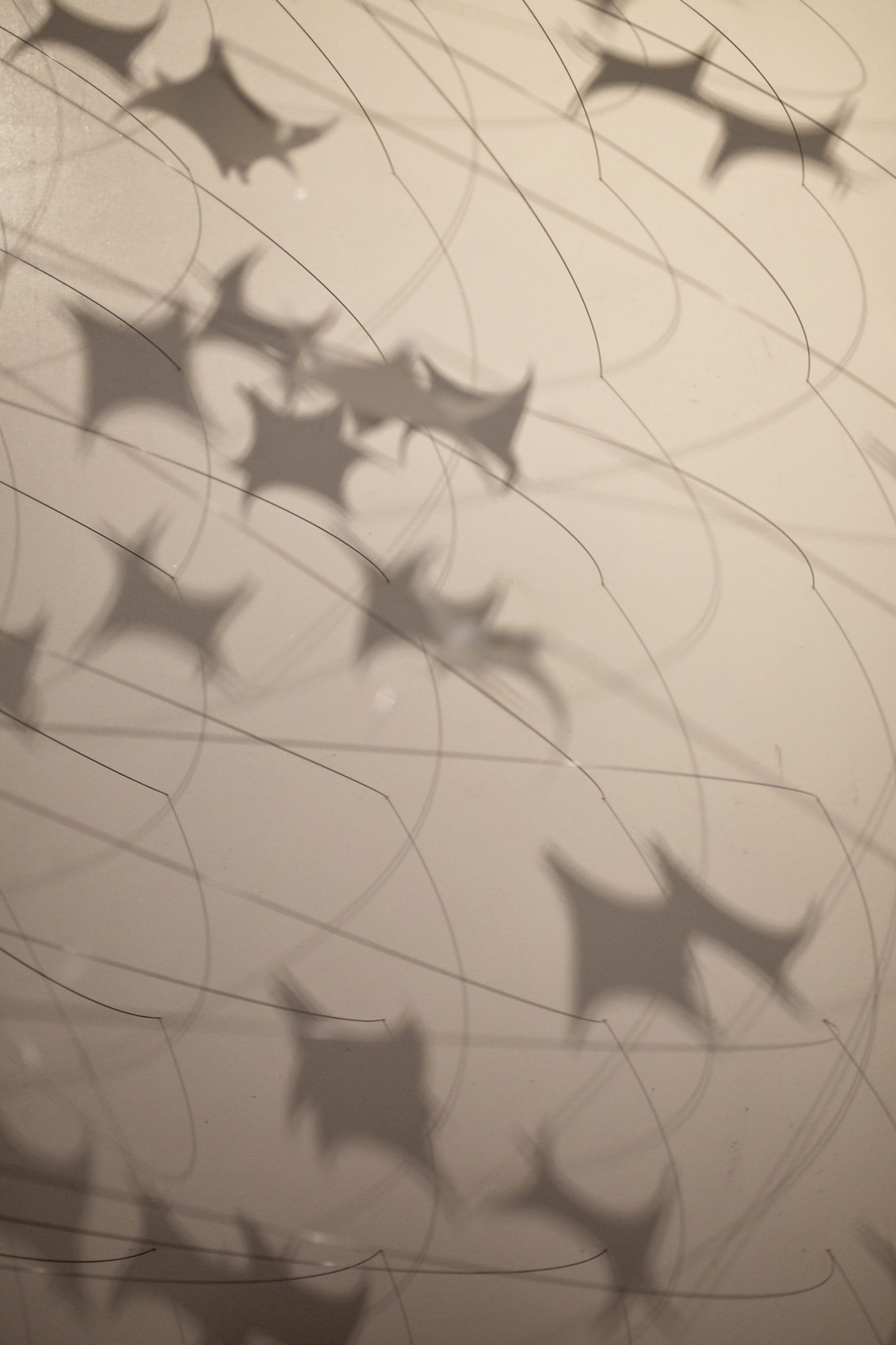 Bijan Amini-Alavijeh: A Glimmer - Welcome to The Art House